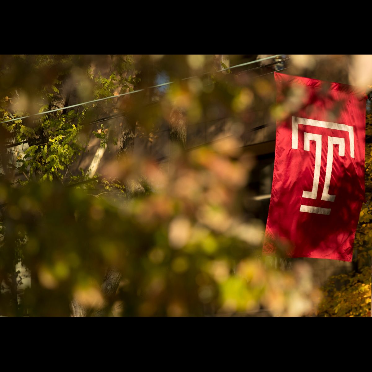 Good Career News: Fall 2025 Edition